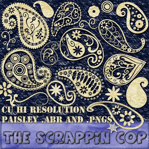 Funky Paisley Brush - Legendary Covers